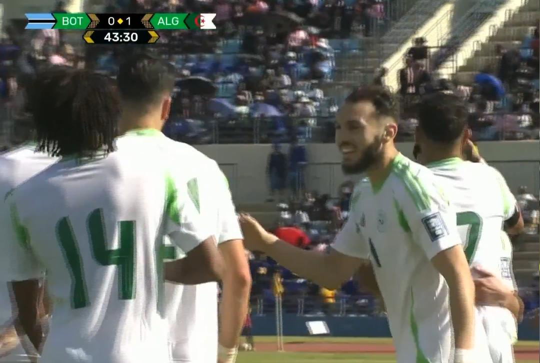 هدف أمين غيويري ضد بوتسوانا في تصفيات كأس العالم - Hadaf 24